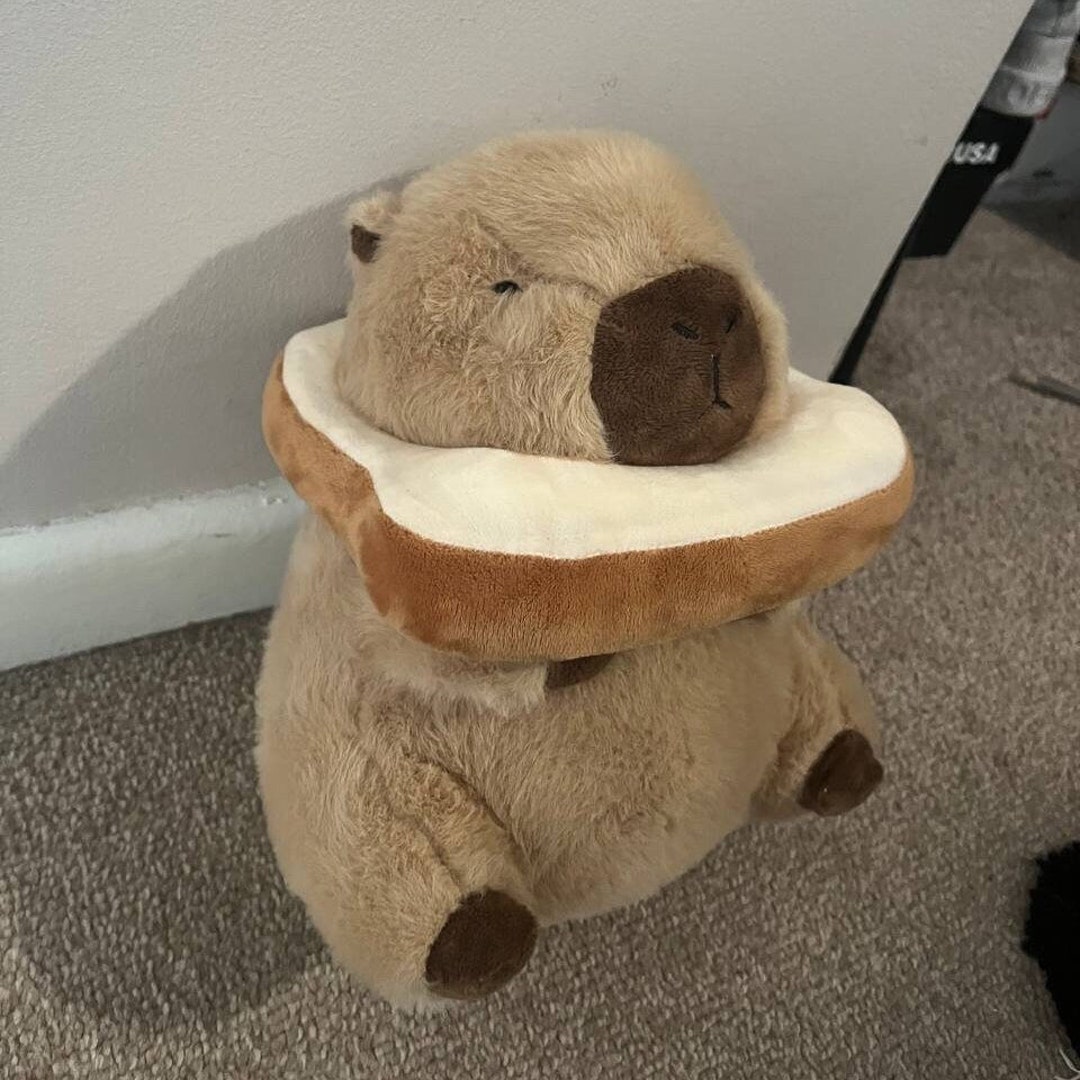 Cute Funny Capybara Bread Plushie, Plushie for Kids, Gift for Her, Gift ...