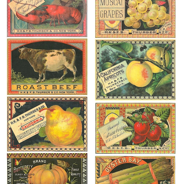 Vintage Can Labels - Etsy