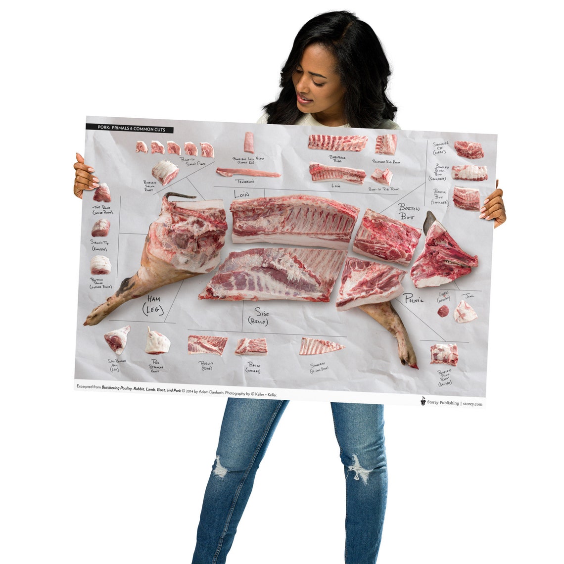 Pork Cuts & Primals Butchery Wall Poster - Etsy