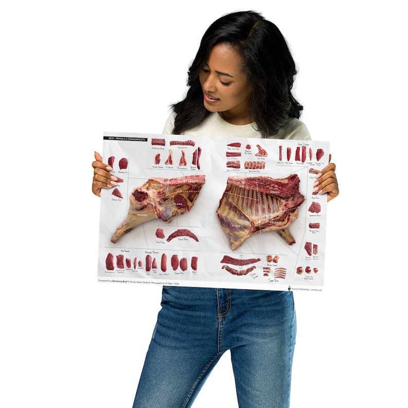 Beef Cuts & Primals Butchery Wall Poster - Etsy