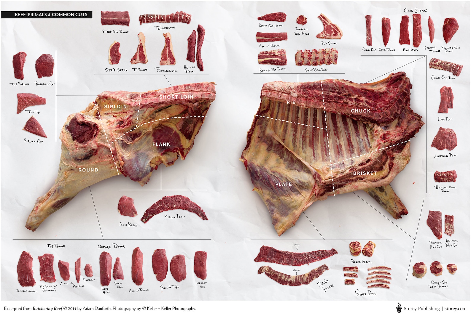 Beef Cuts & Primals Butchery Wall Poster - Etsy