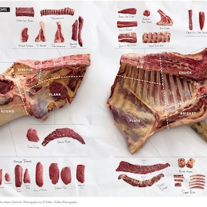 Beef Cuts & Primals Butchery Wall Poster - Etsy