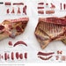Beef Cuts & Primals Butchery Wall Poster - Etsy UK