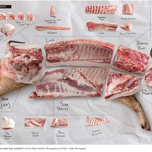 Pork Cuts & Primals Butchery Wall Poster - Etsy