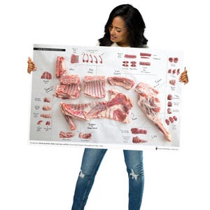 Lamb Cuts and Primals Wall Poster - Etsy UK