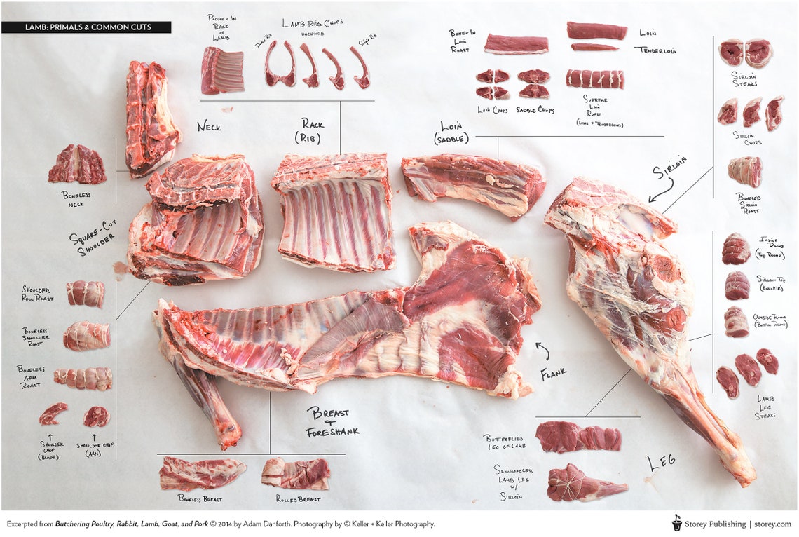 Lamb Cuts & Primals Butchery Wall Poster - Etsy