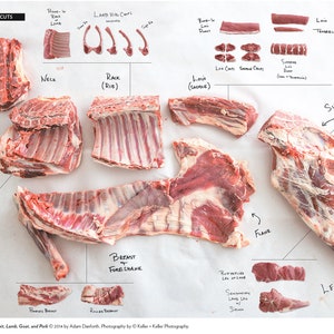 Lamb Cuts & Primals Butchery Wall Poster - Etsy