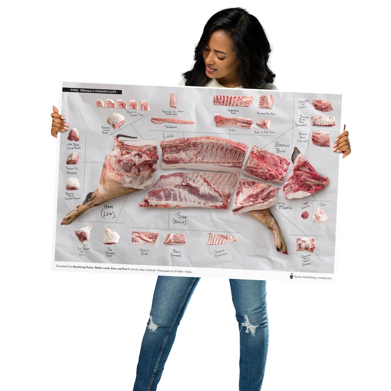 Pork Cuts & Primals Butchery Wall Poster - Etsy
