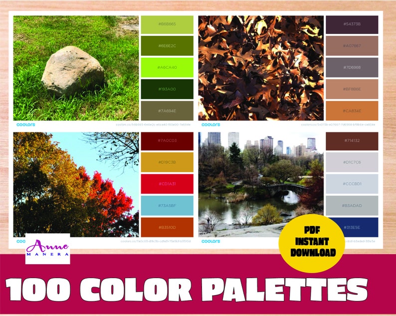 Colorist's Color Palettes A Reference Guide to Picking - Etsy