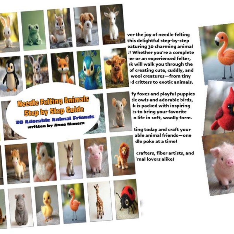 Wool Felt Needle Kit - Etsy