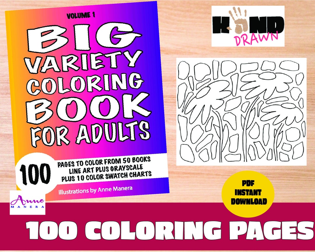 Big Variety Coloring Book 100 Pages to Color Line Art Plus Grayscale ...