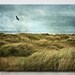 RAVEN Over Head Fine Art Photograph IRELAND Landscape - Etsy