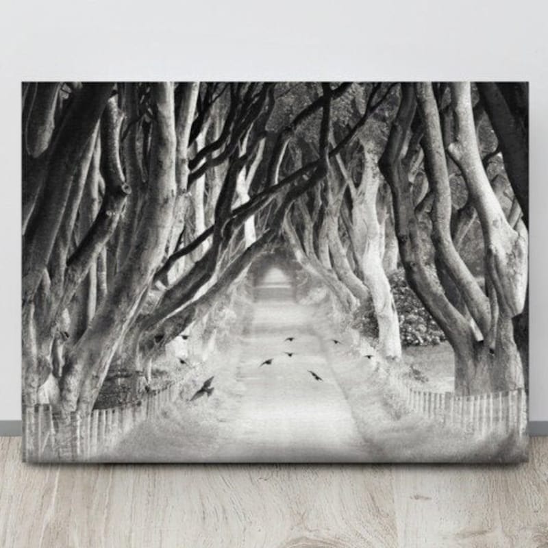 Hedge Wall Decor - Etsy