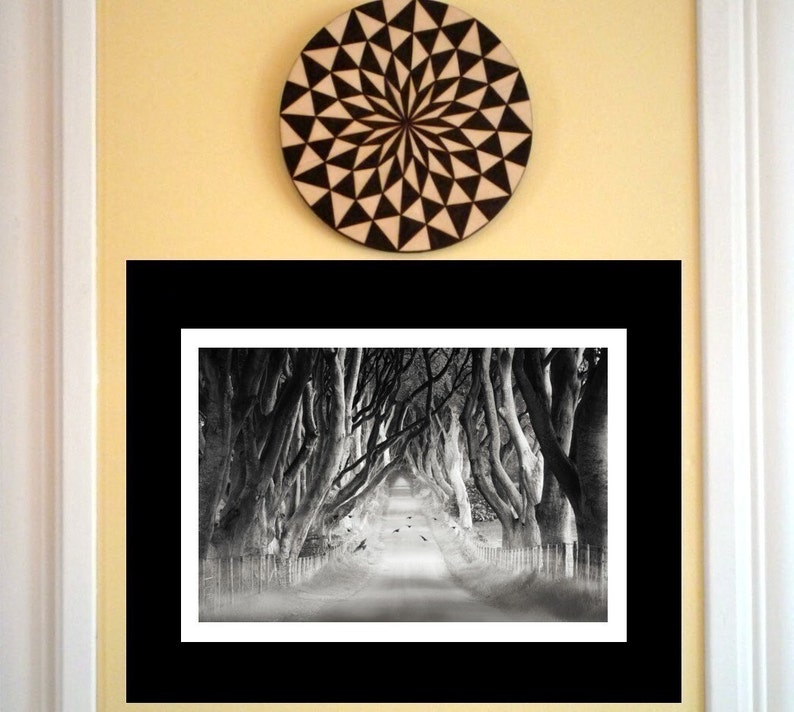 The Dark Hedges, Spooky TREES, Northern IRELAND, Surreal Landscape ...