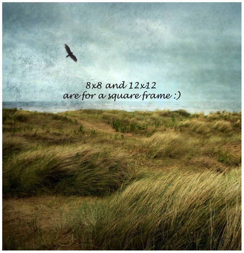 RAVEN Over Head Fine Art Photograph IRELAND Landscape | Etsy