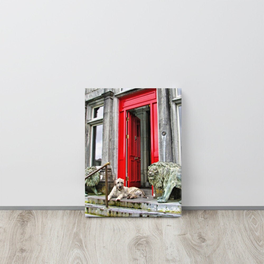 IRISH WOLFHOUND Photo, Red Door, Ballyseede Castle, Co. Kerry,ireland ...