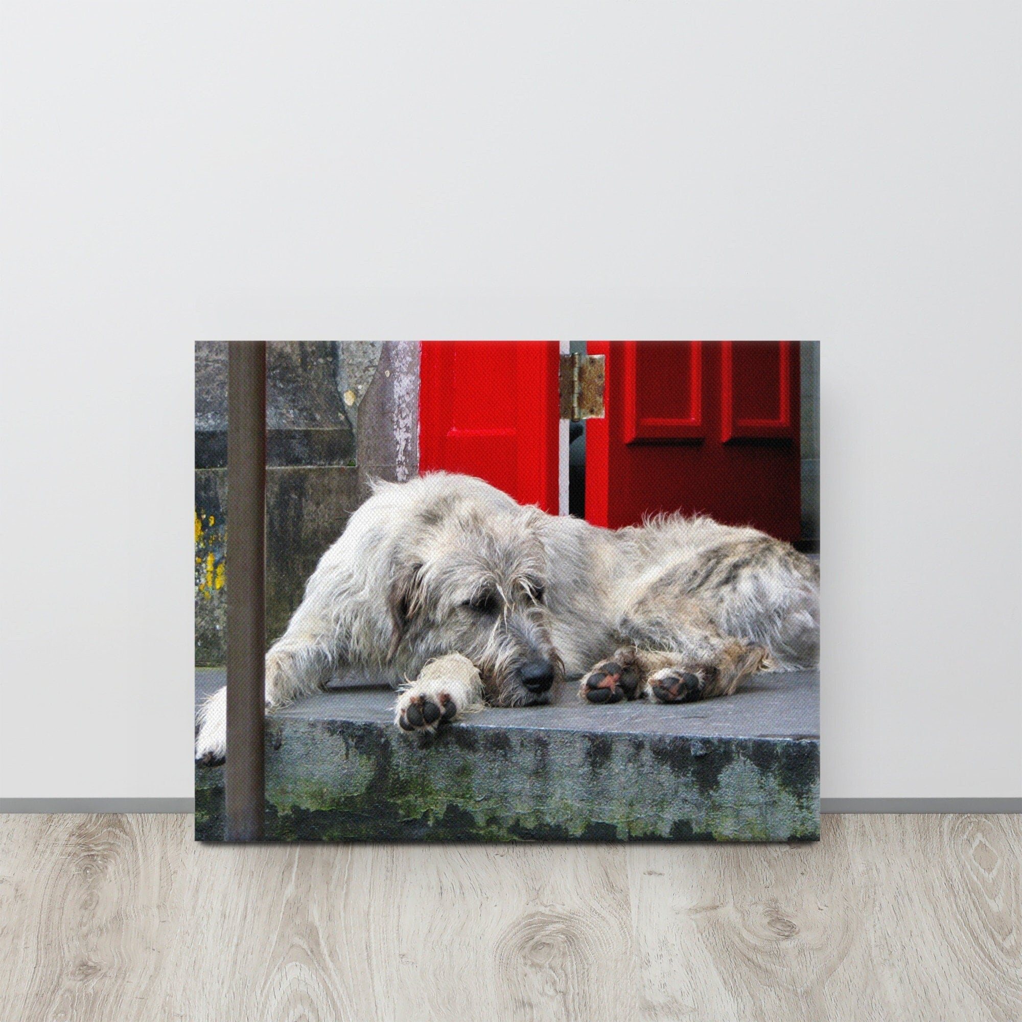 IRISH Wolfhound, Ballyseede Castle, Tralee , Co. Kerry, IRELAND Photo ...