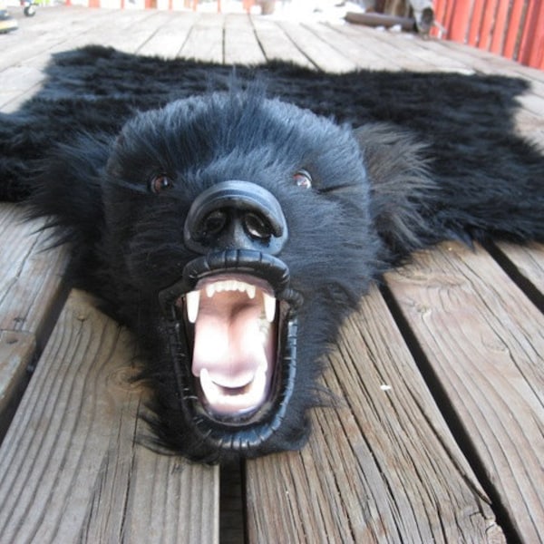 Real Bear Skin Rug - Etsy