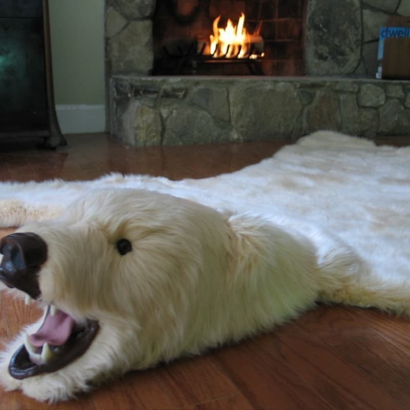 Real Bear Skin Rug - Etsy