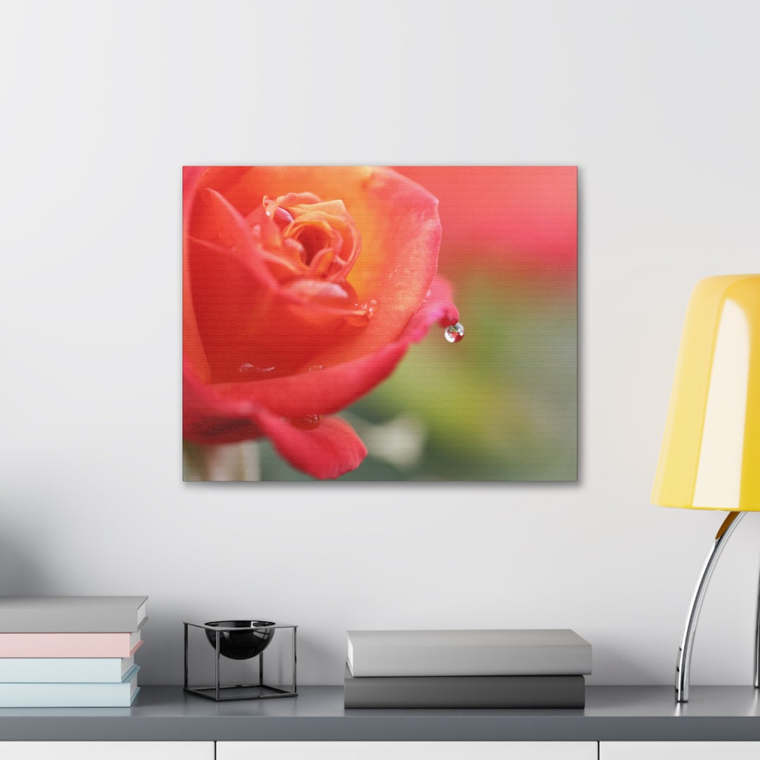 Drip Reflection Rose Collection - Etsy