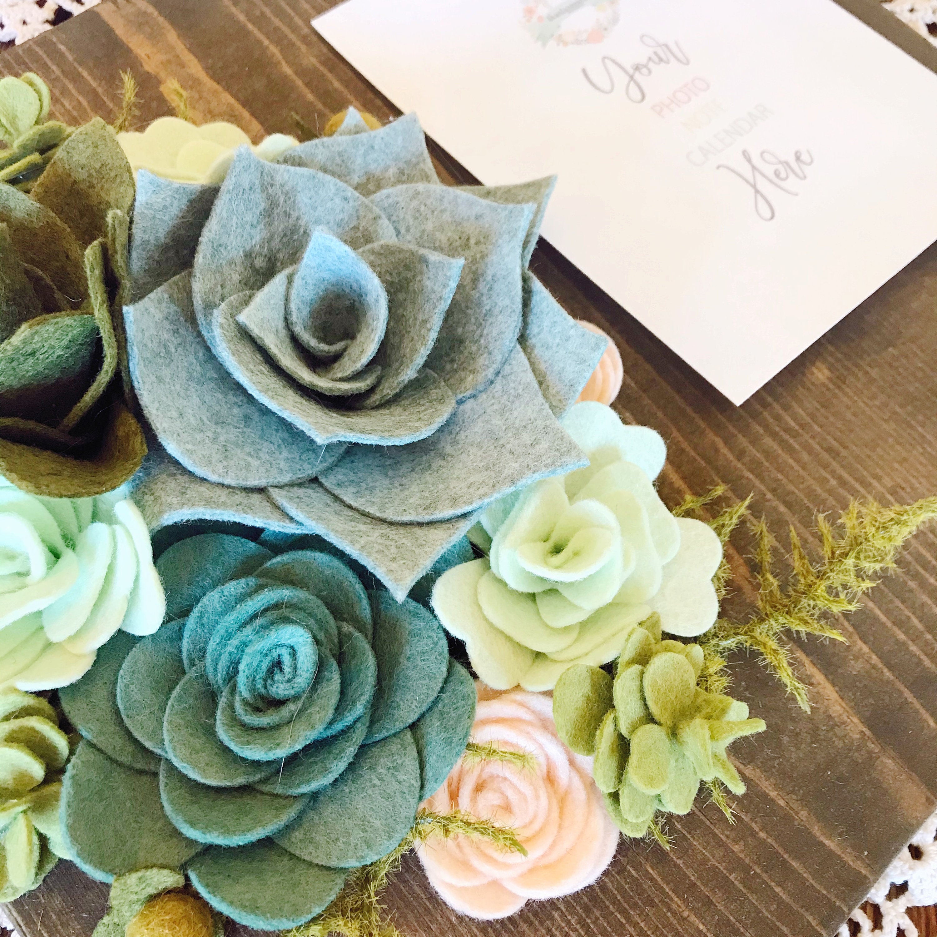 Felt Succulent Craft Kit | Etsy