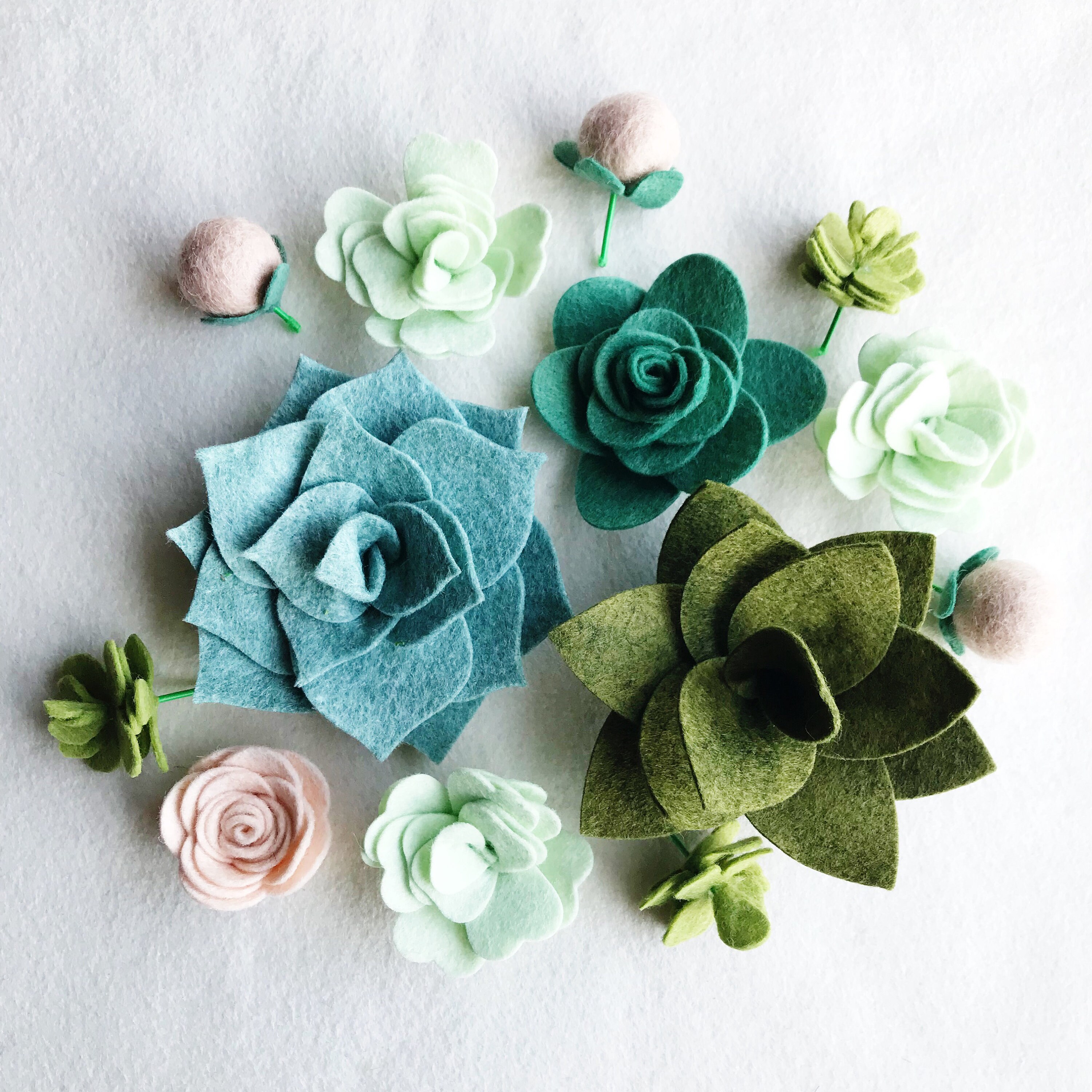 Felt Succulent Craft Kit | Etsy