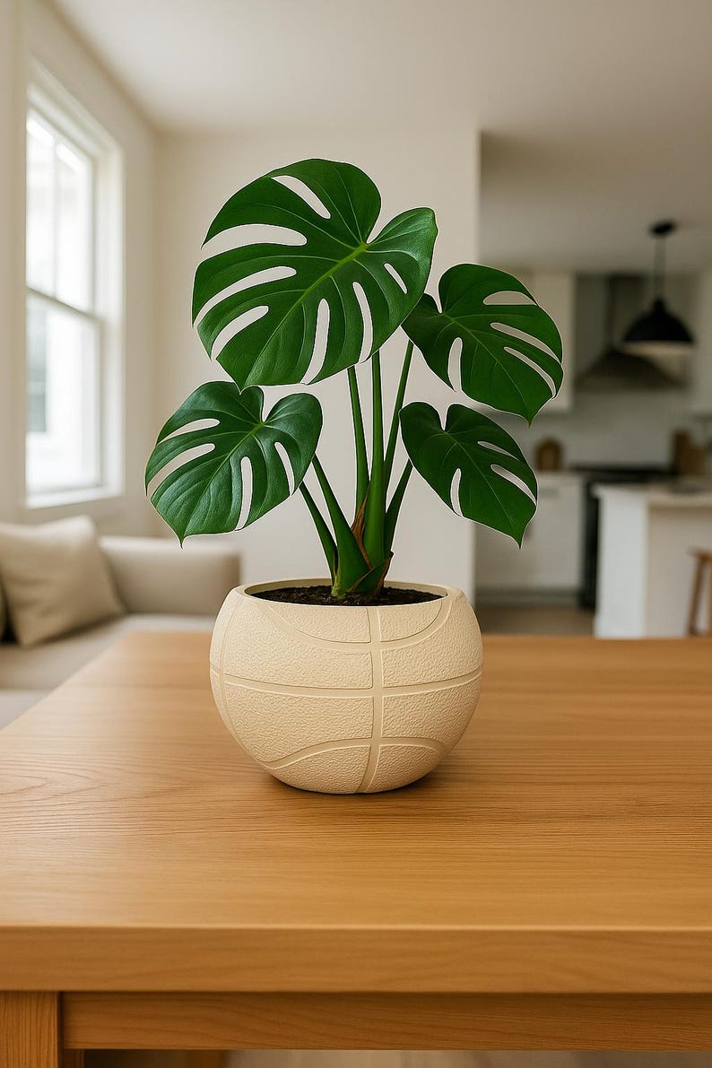 3D Printed Mini Basketball Planter Pot: Modern Indoor Decor - Etsy