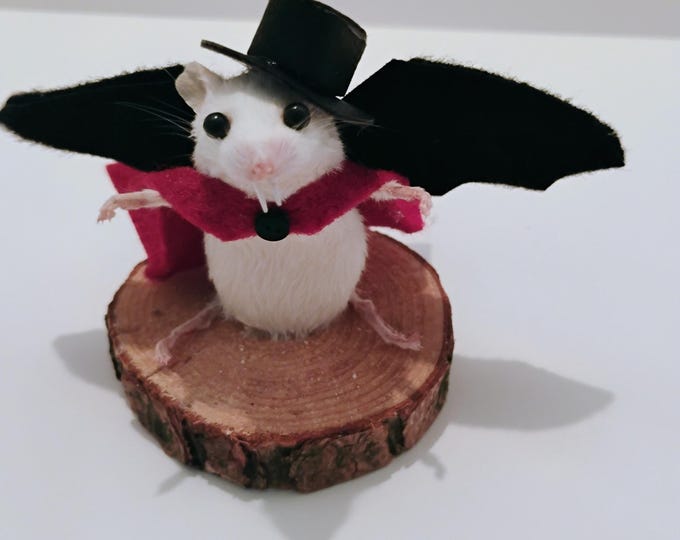 Unique Gothic Halloween Mummified Two-headed Vampire Bat Faux Taxidermy ...