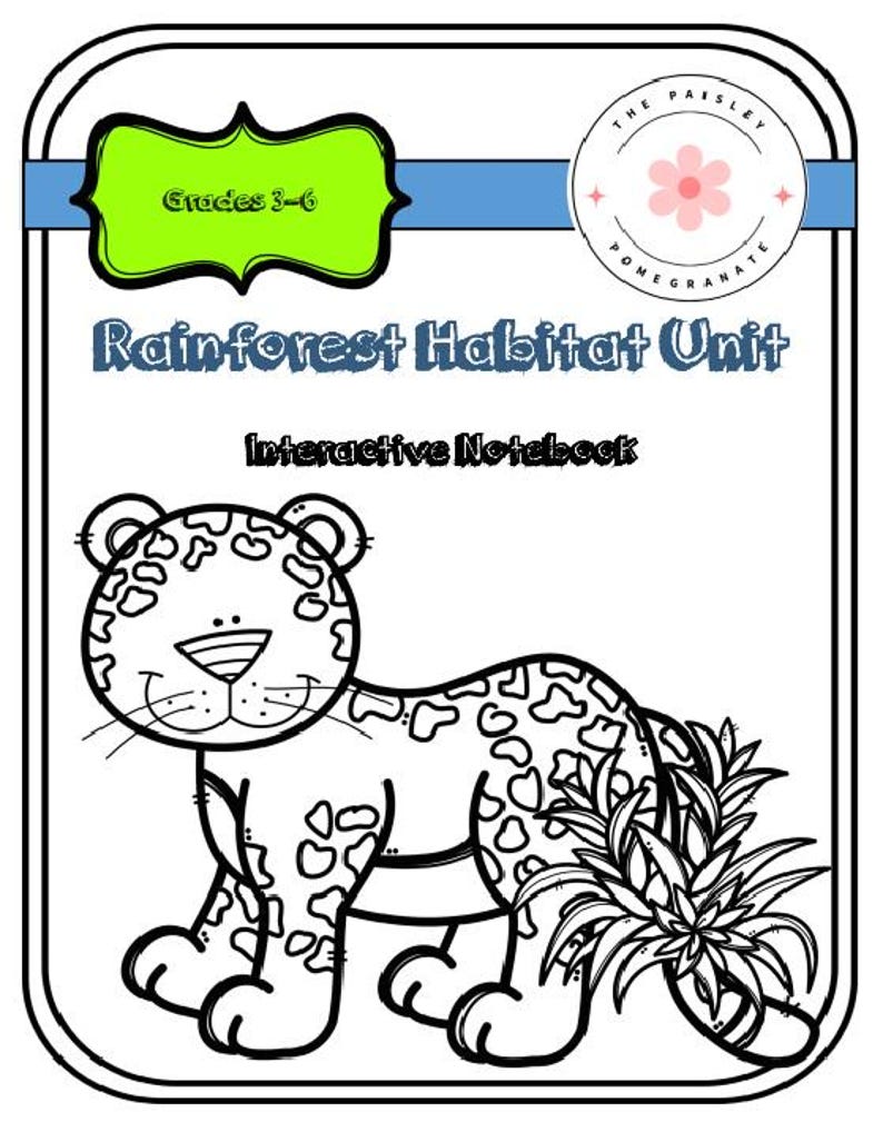 Rainforest Habitat Unit Digital Download - Etsy