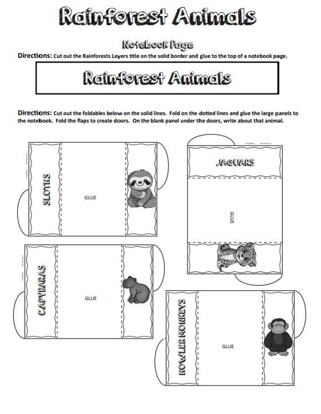 Rainforest Habitat Unit Digital Download - Etsy