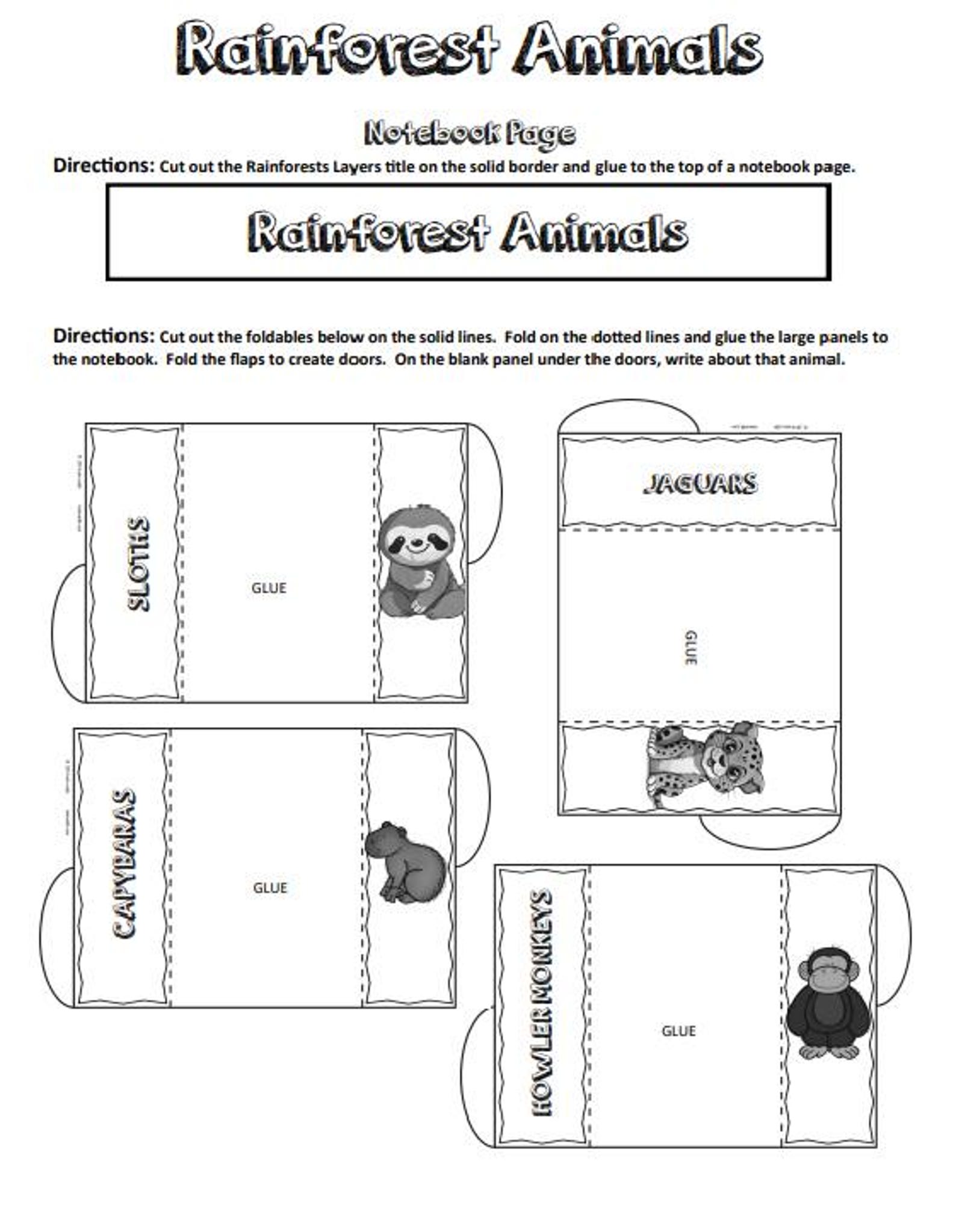 Rainforest Habitat Unit Digital Download - Etsy