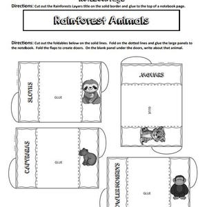 Rainforest Habitat Unit Digital Download - Etsy