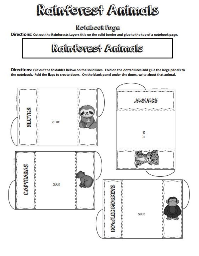 Rainforest Habitat Unit Digital Download - Etsy