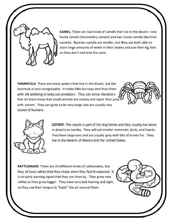 Desert Habitat Unit Digital Download - Etsy