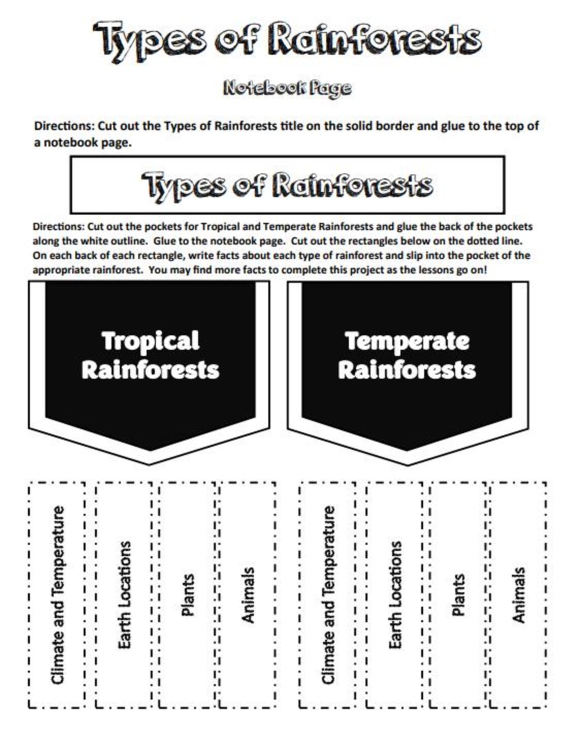Rainforest Habitat Unit Digital Download - Etsy