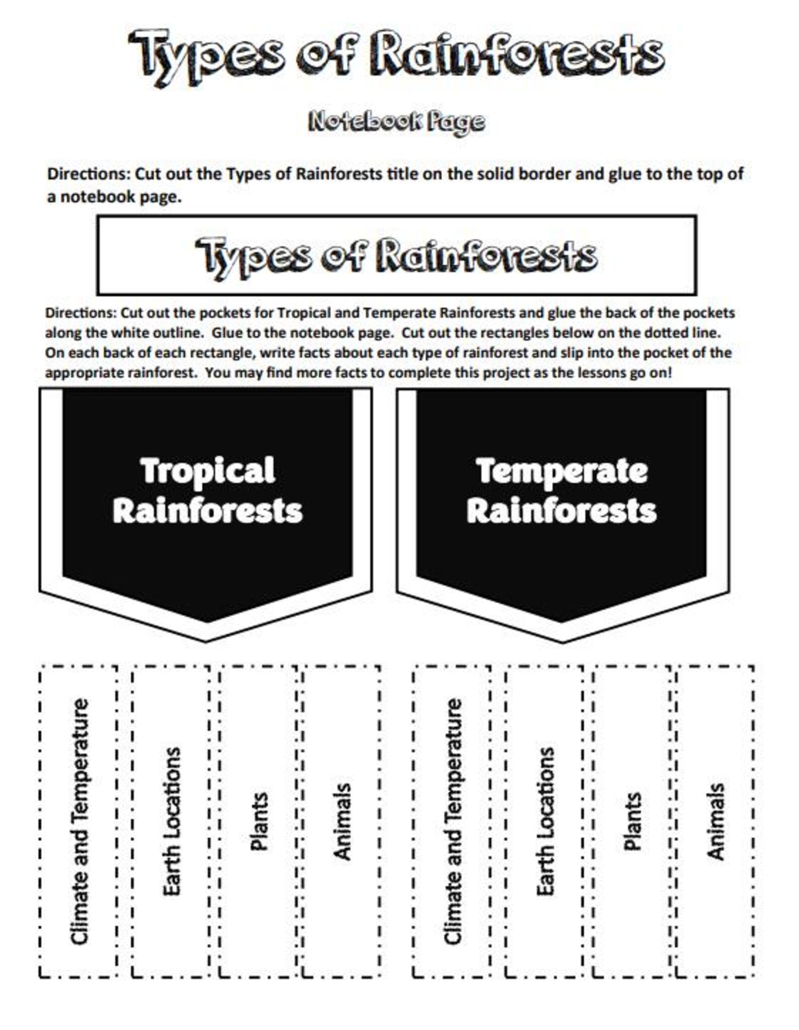 Rainforest Habitat Unit Digital Download - Etsy