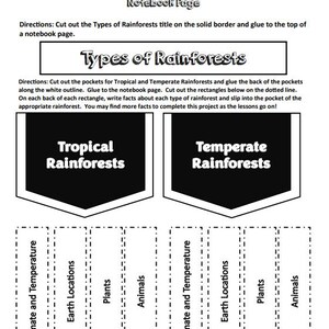 Rainforest Habitat Unit Digital Download - Etsy