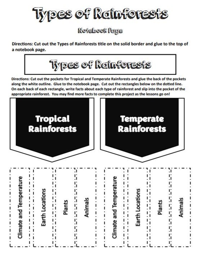 Rainforest Habitat Unit Digital Download - Etsy