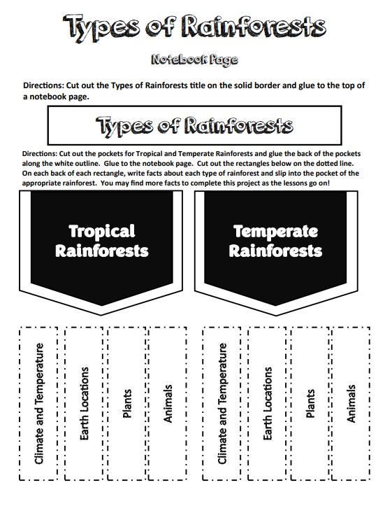 Rainforest Habitat Unit Digital Download - Etsy