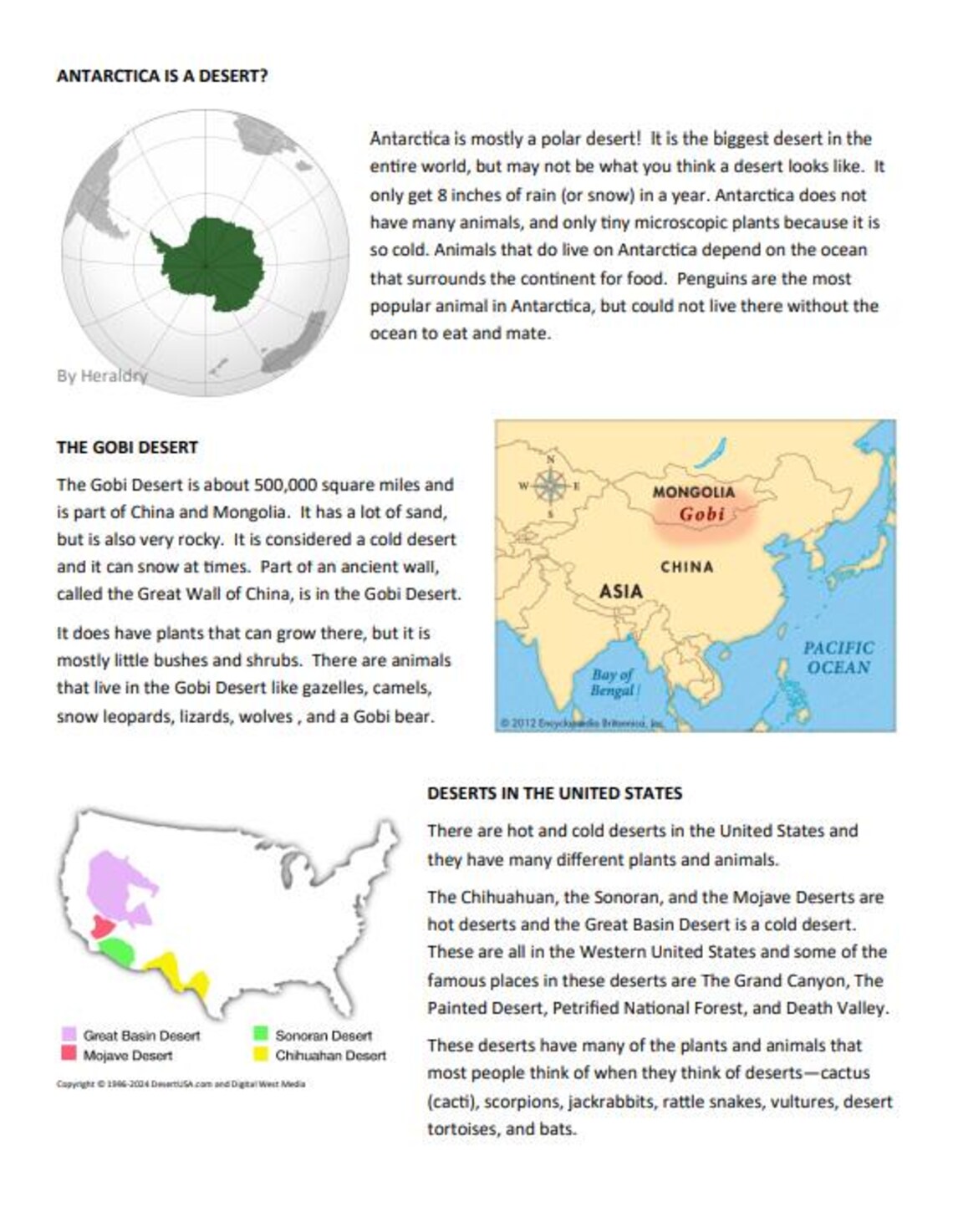 Desert Habitat Unit Digital Download - Etsy