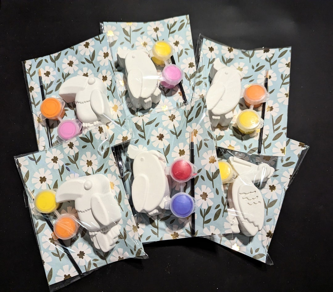Paint Your Own Magnet Party Bags birds Party Favors Kids - Etsy