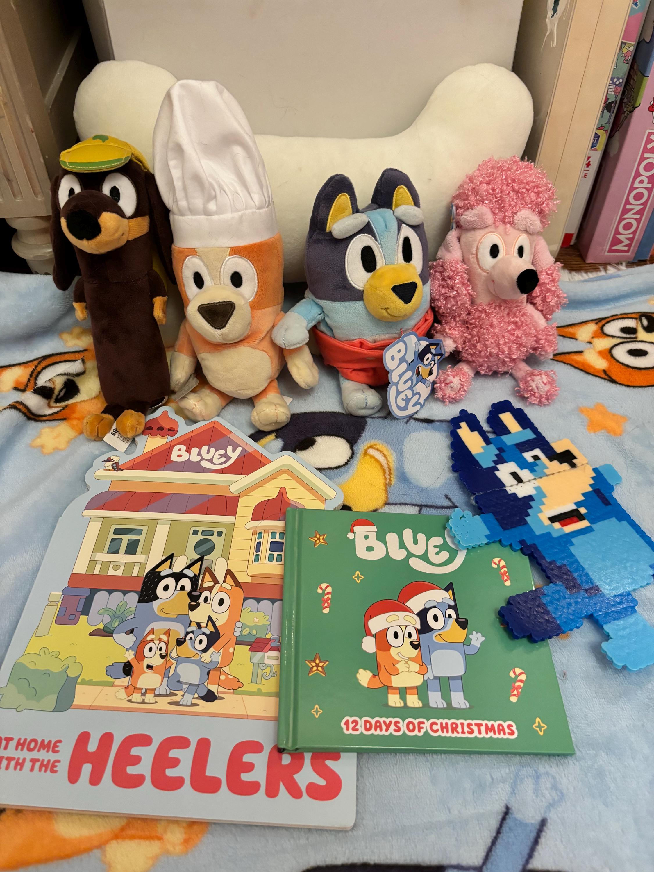 Bluey Toy and Books Pack - Etsy