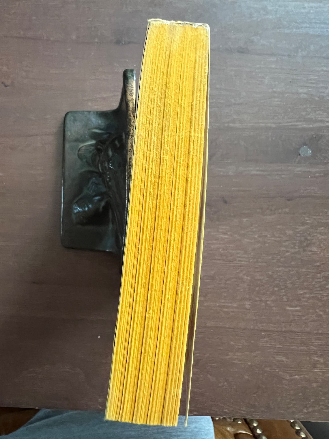 Icerigger by Alan Dean Foster (1974 Ballantine, 3rd Printing) - Etsy