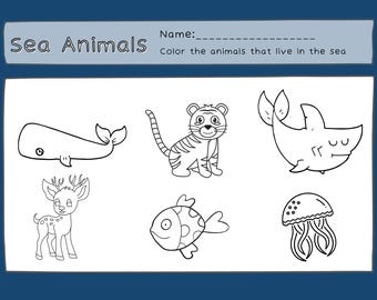 Animal Collection Worksheets for Preschool and Kindergarten - Etsy