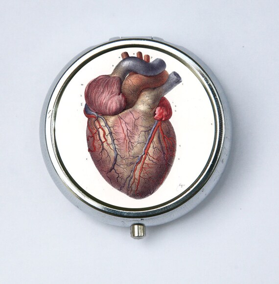 Anatomical Heart Pill Case holder pillbox box Medical Drawing | Etsy