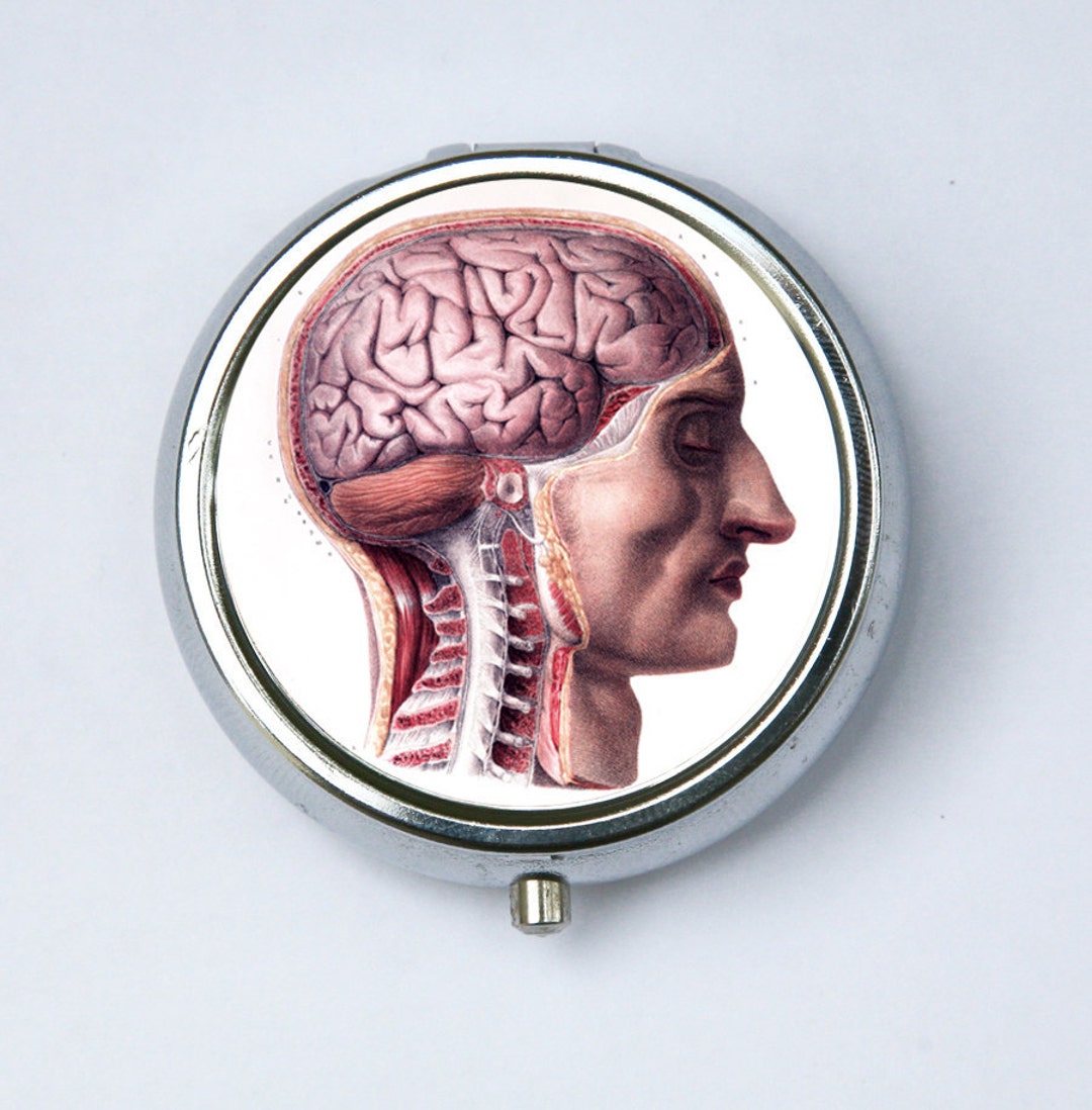 Human Head Pillbox Case Pill Case Holder Box Brain Cervical Spinal Cord ...
