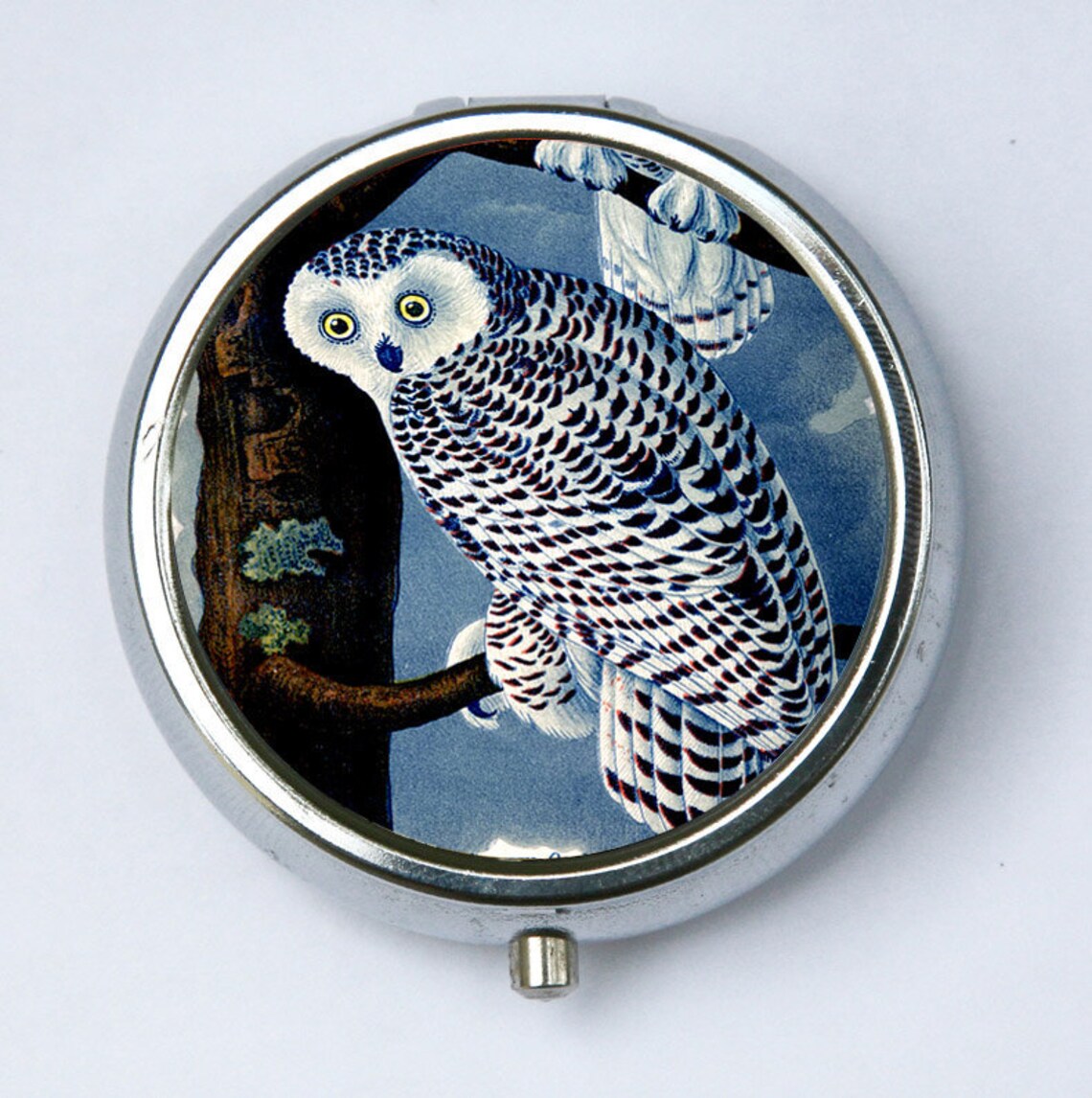 Owl PILL CASE Pillbox Holder Night Blue Snow Owl Hipster - Etsy