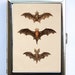 Bats Cigarette Case Wallet Business Card Holder Gothic Psychobilly ...