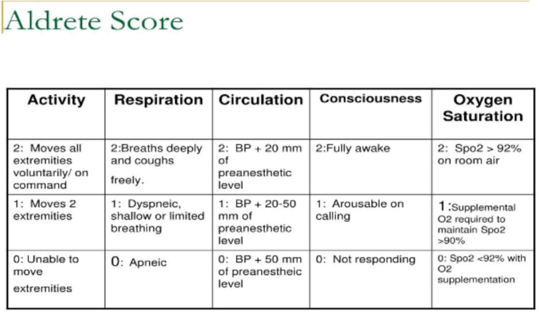 Modified Aldrete Score Badge Buddy - Etsy