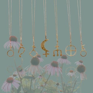 Astrological Glyph Necklace/sacred Symbolism/astrological - Etsy